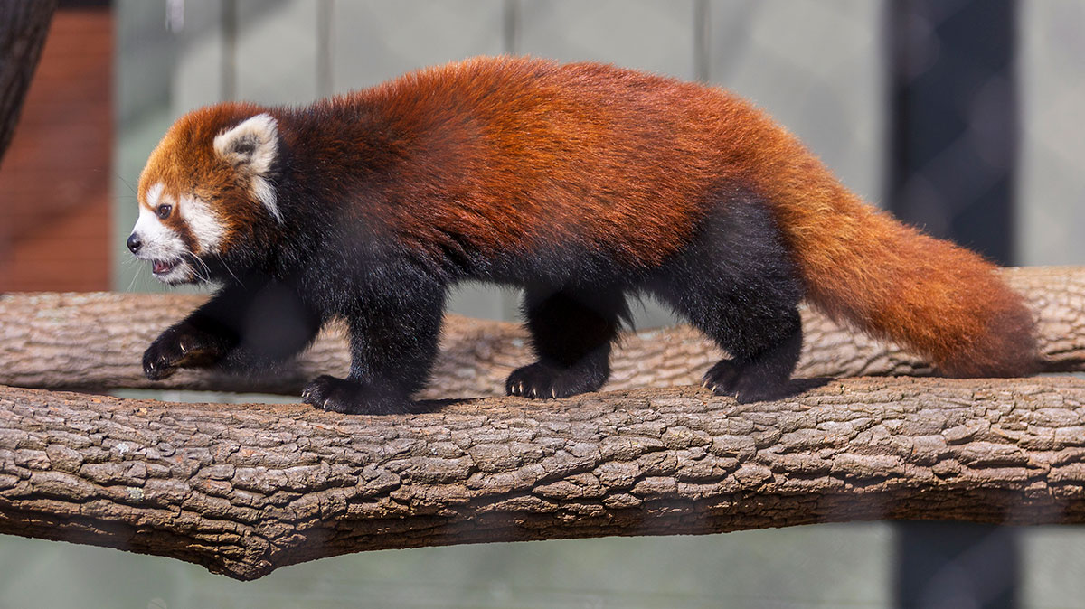 Wake Living | Bringing the Capital Area and its Communities to Life